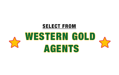 About Us | Western Gold Insurance